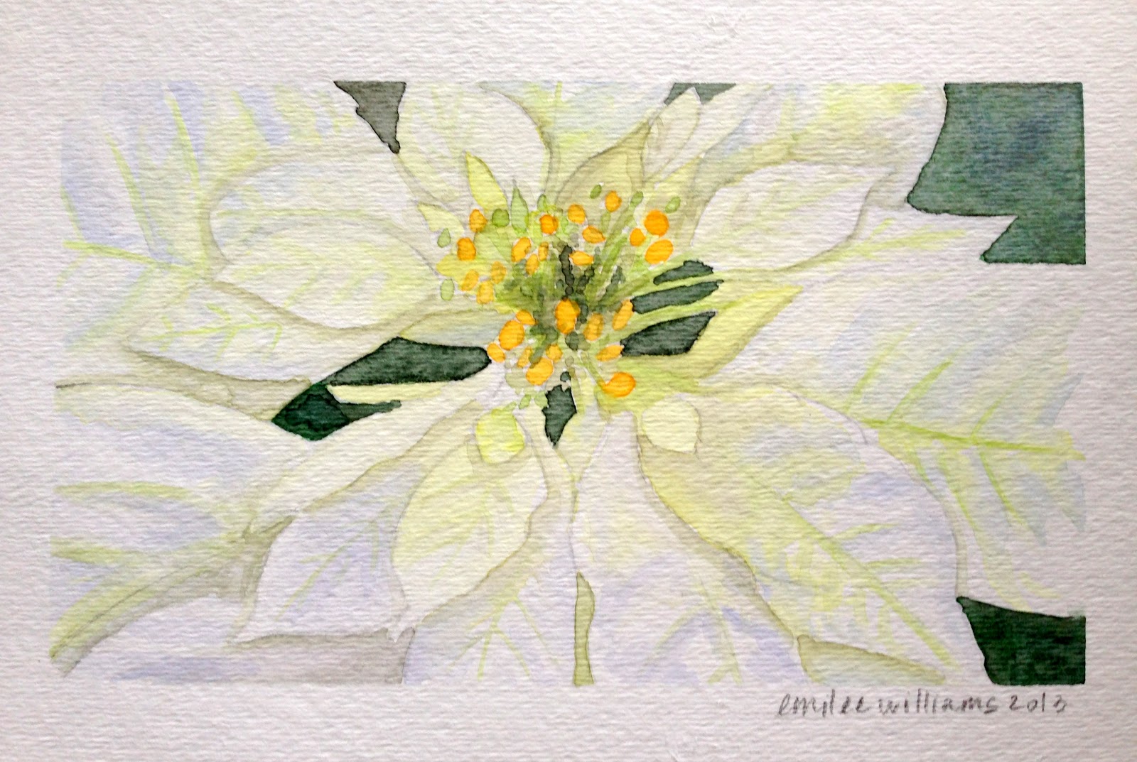White Poinsettia