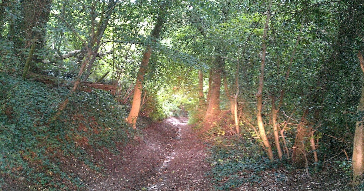 MODERN-DAY EXPLORERS: UCR: West Hoe Lane