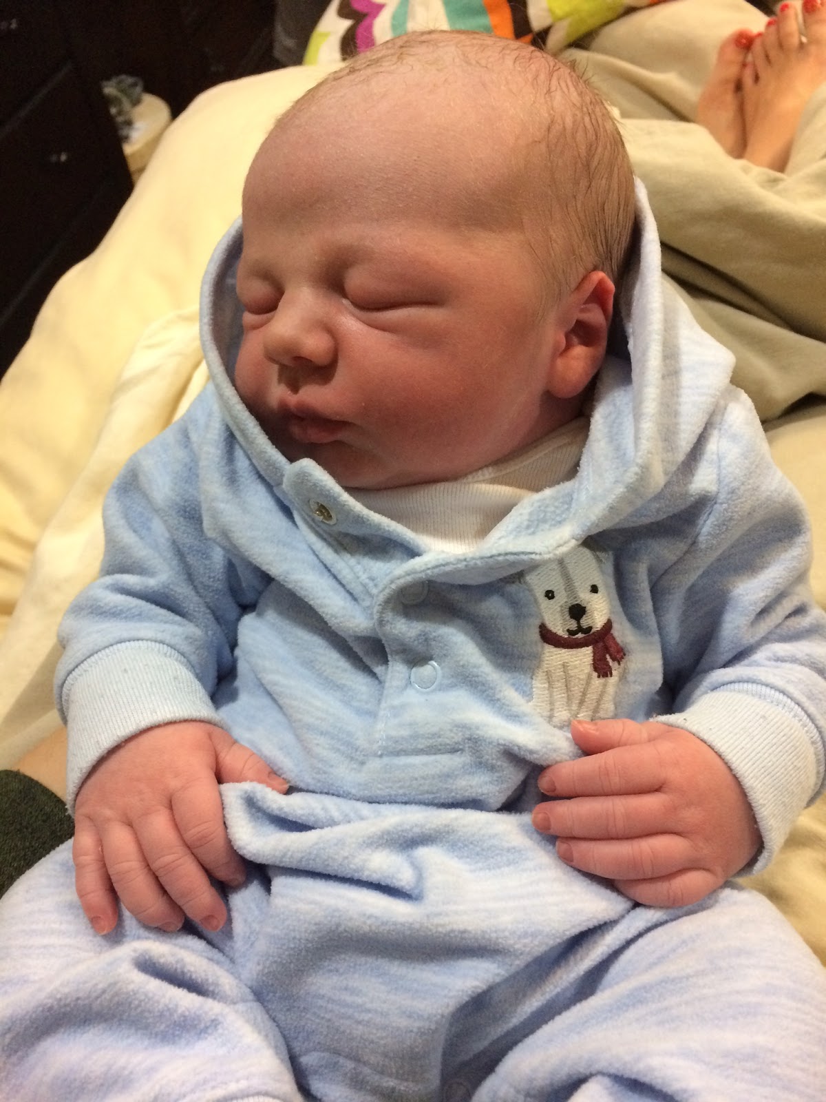 Duggar Family Blog: Duggar Updates | Duggar Pictures | Jim Bob and ...