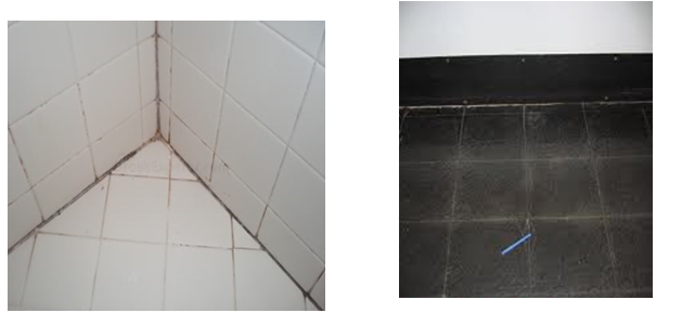 annayya.chandrashekar@gmail.com: Why to maintain tile & stone joints grout?