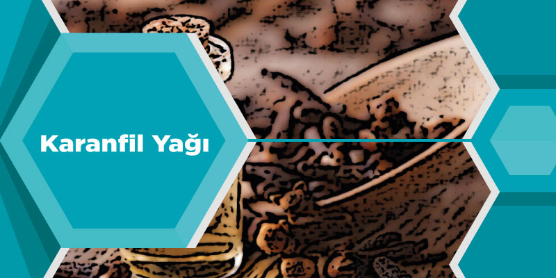 Bitki Yağı: Karanfil Yağı