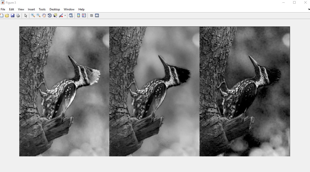 Min Filtering in Image Processing using Matlab with code - MATLAB ...