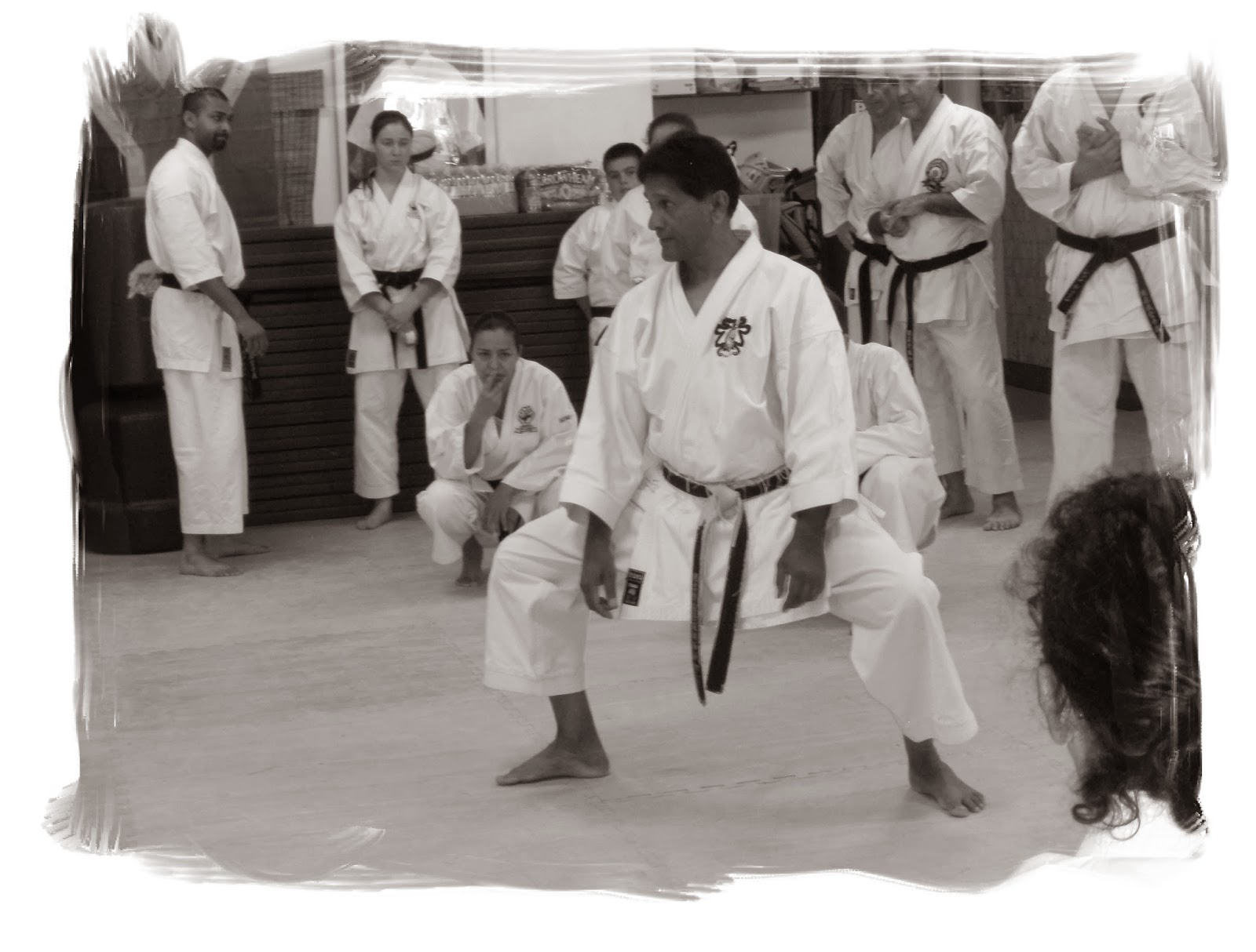 SeiwaKai of Texas Goju-Ryu Karate-do: 2014 USA Goju-Ryu Karate-do ...