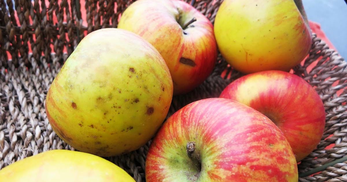 Tres Arándanos: Mis manzanas ecológicas preferidas