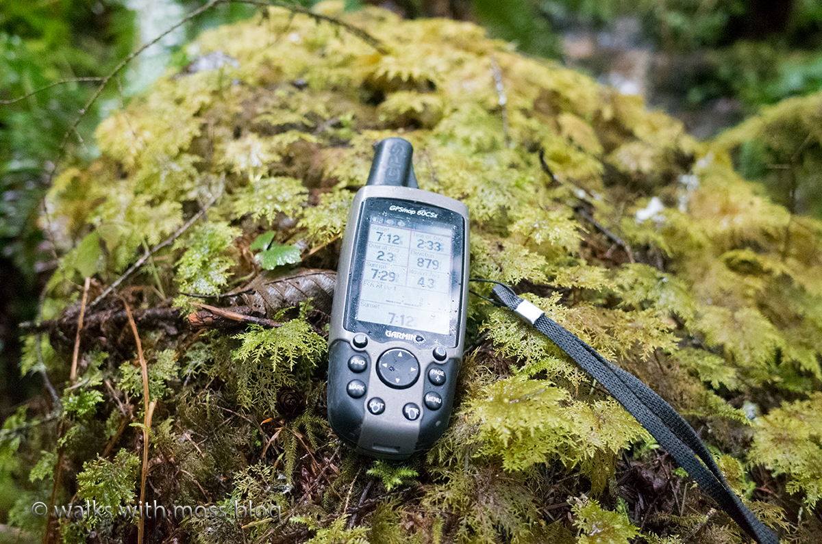 Walks with Moss: Mount Walker