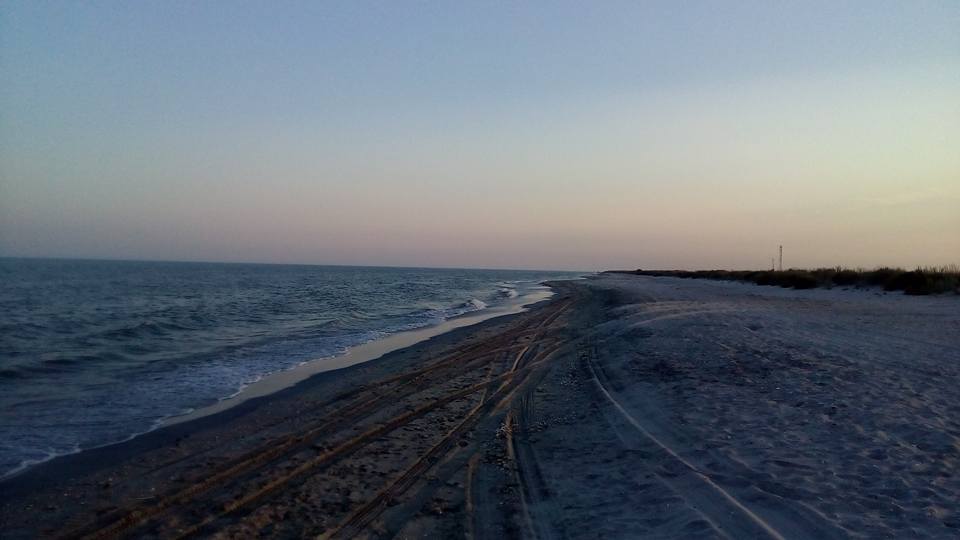 Grindul Chituc - wild wetland