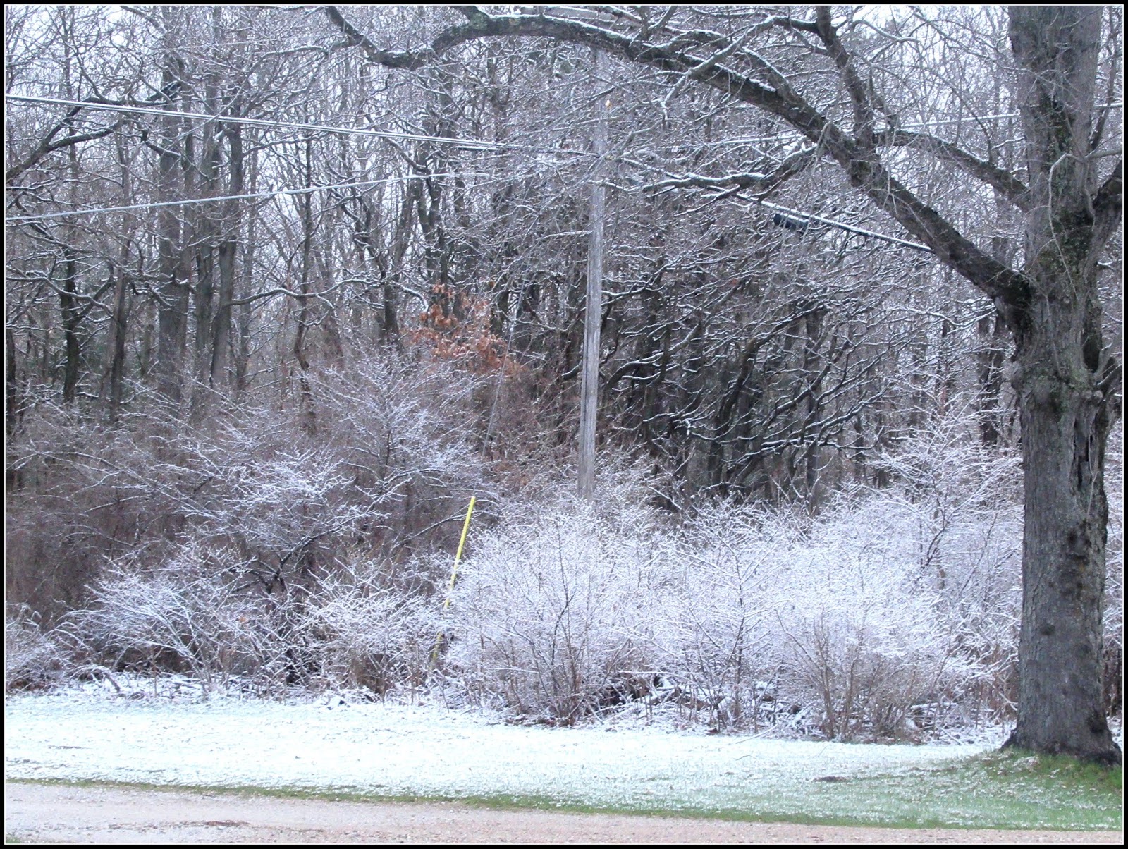 My Little Corner of the World: Crazy weather!