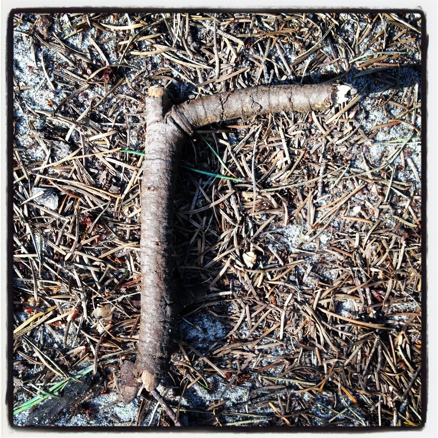 Letters/Alphabet photography: PQR on Pinterest | 79 Pins