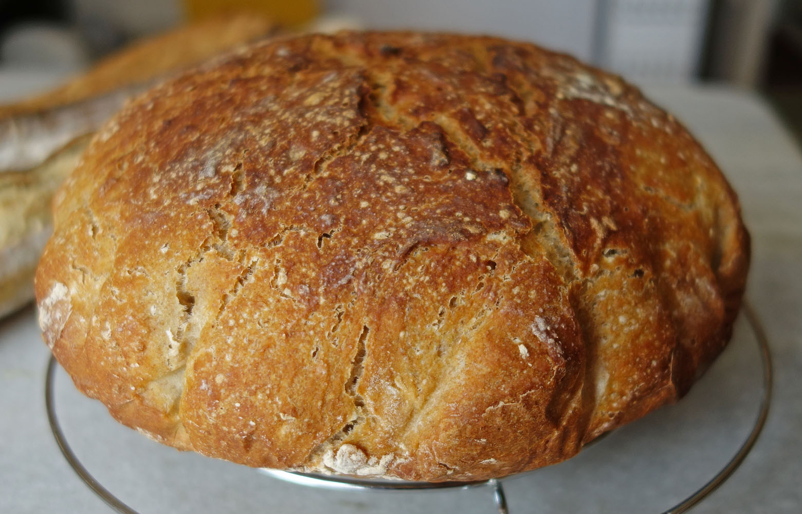 Living the life in Saint-Aignan: Une boule de pain complet