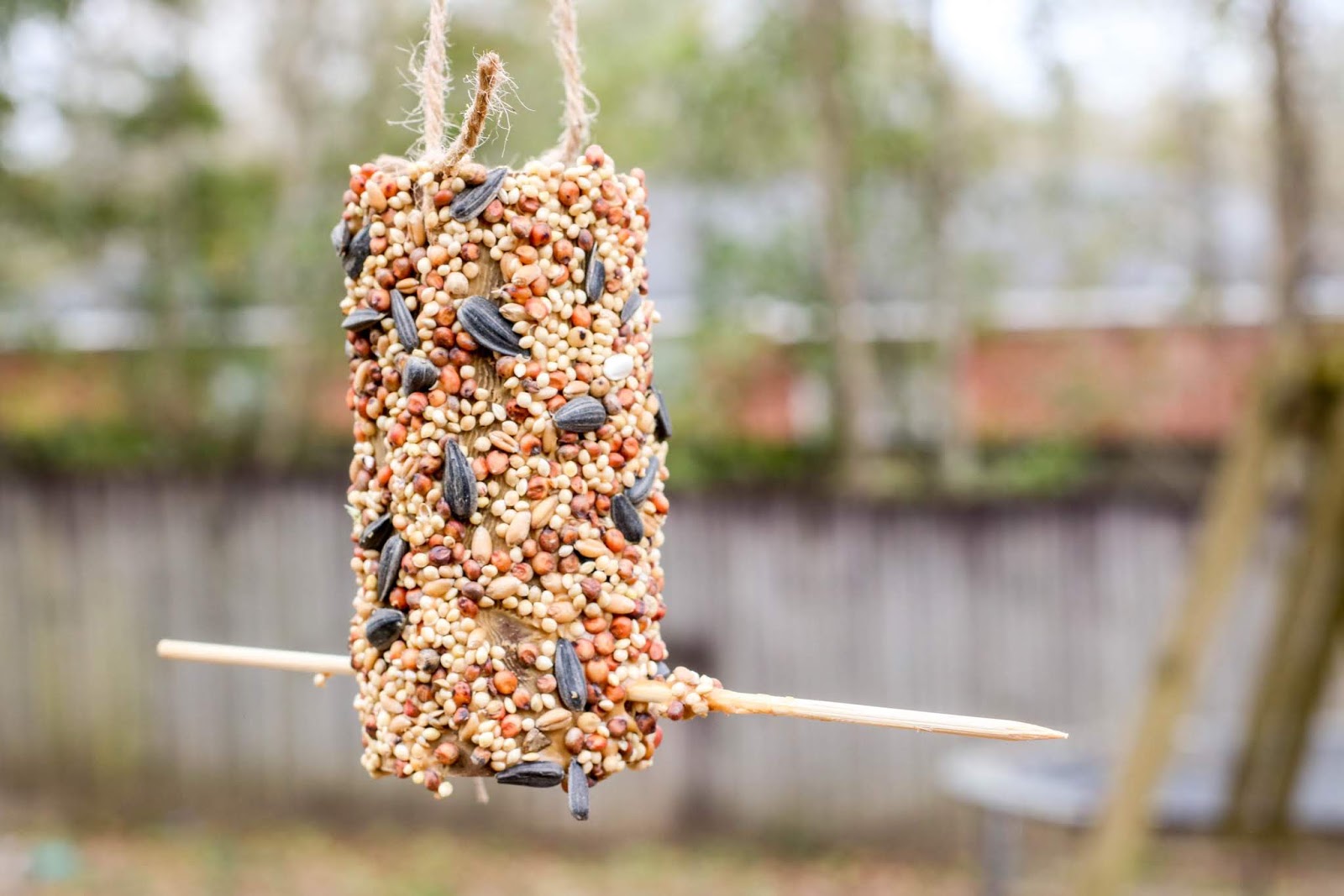 How To Make An Easy Simple Bird Feeder With Kids how-to-make-an-easy-simple-bird-feeder-with-kids