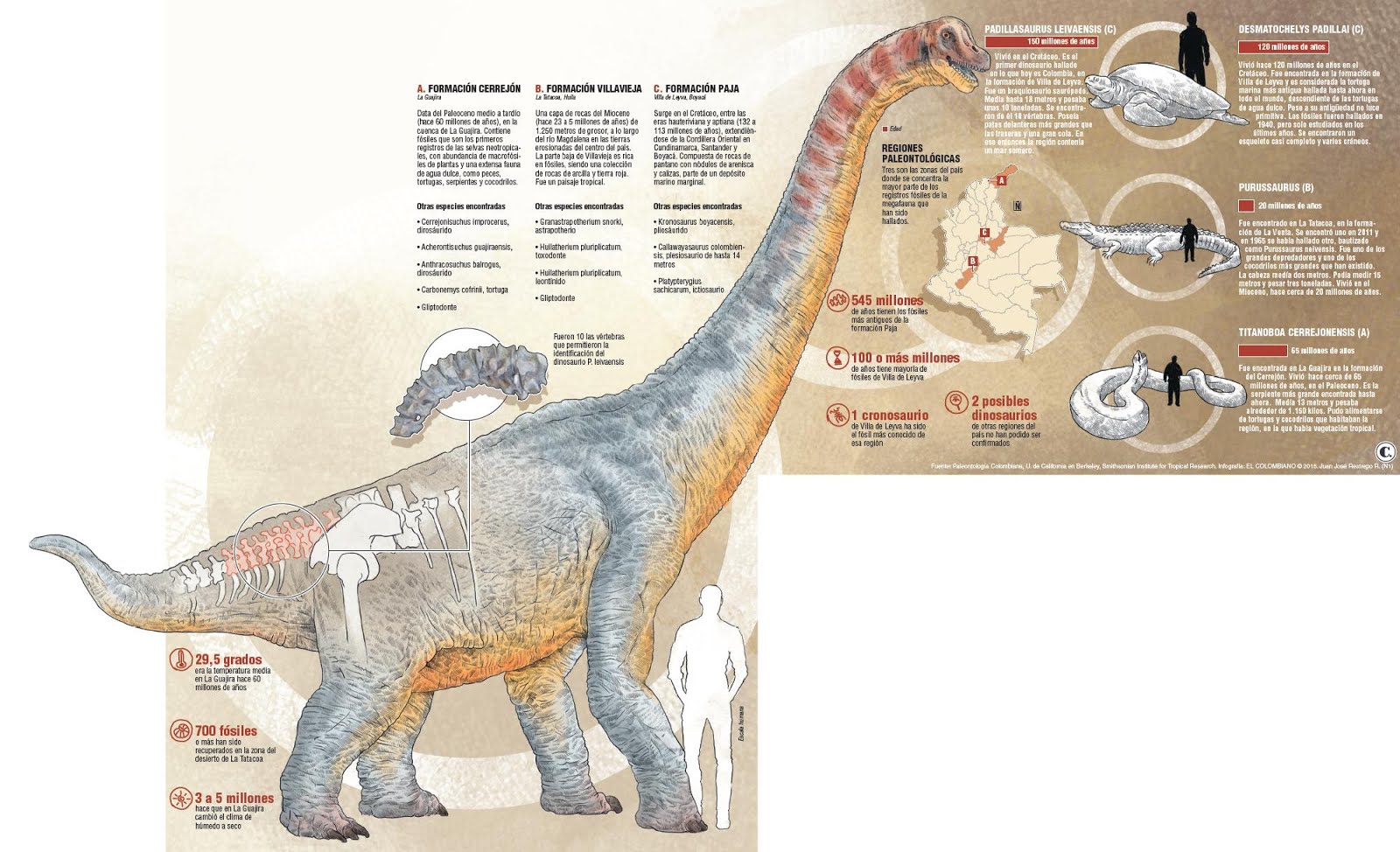Species New to Science: [Paleontology • 2015] Padillasaurus leivaensis ...