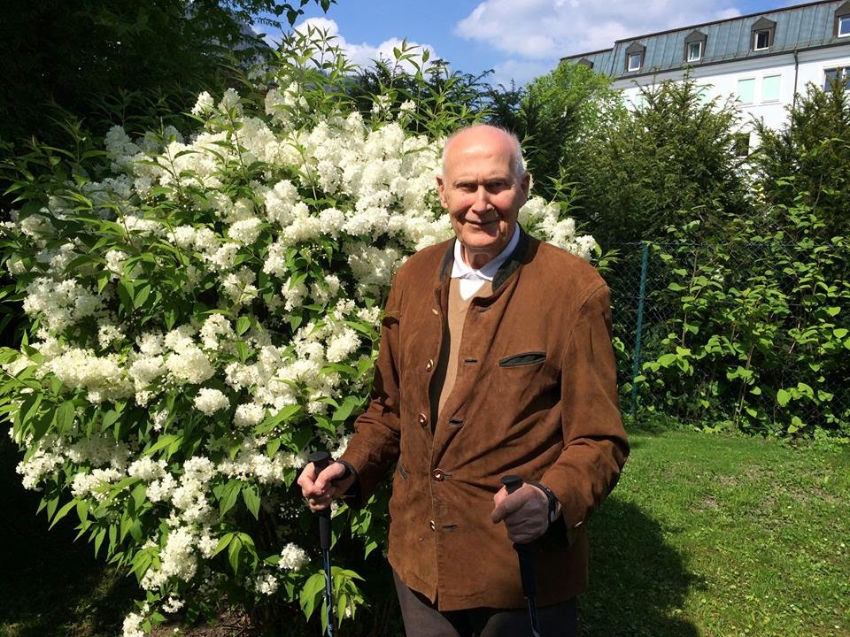 Constelações Sistêmicas Familiares e Organizacionais: Imagens Bert ...