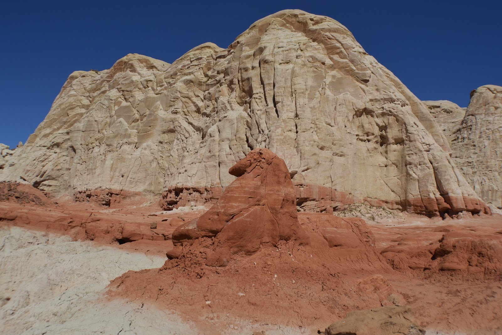 No Bad Days RVing: Where's the Toadstools
