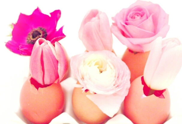 egg shell vase flower display