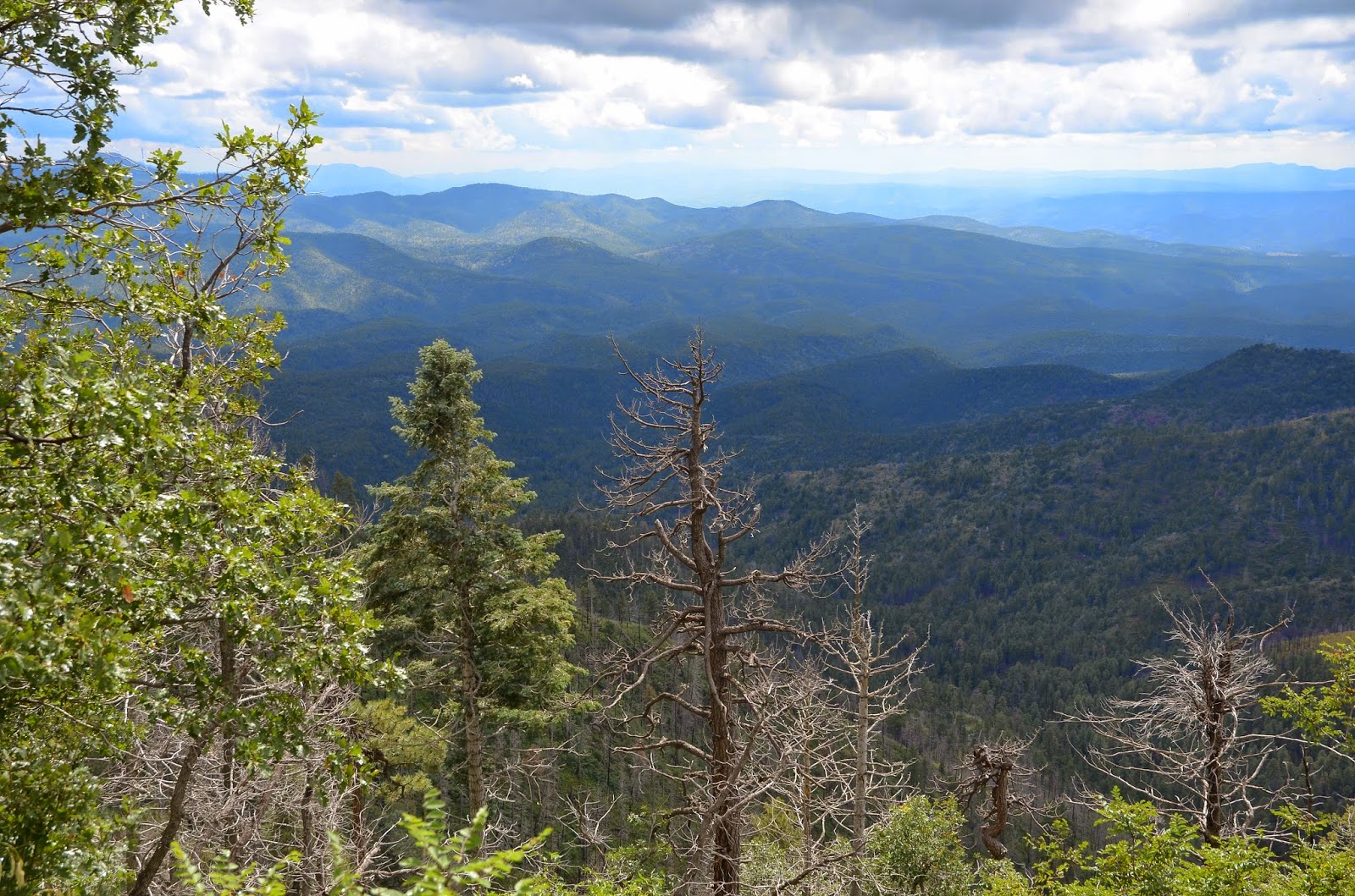 Bug-Out Survival: Revisiting Favorite Wild Places