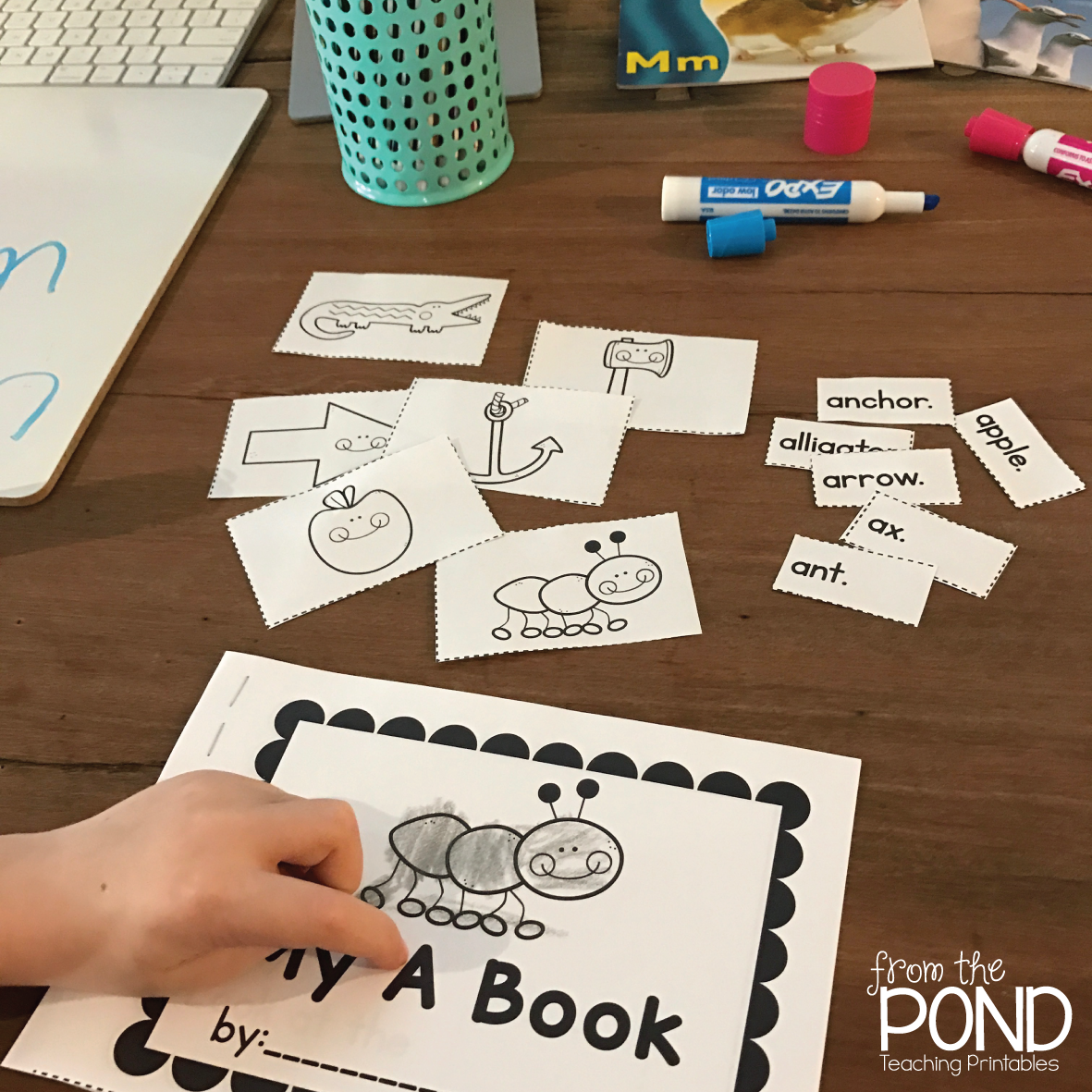 Learning the Letter Sound Aa | From the Pond