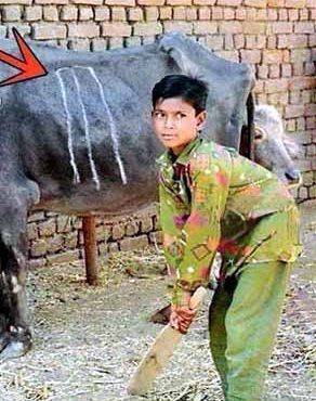 Amazing India or Weird India