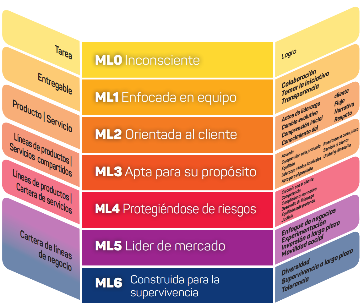 Blog De Un Apóstol De Scrum Y Kanban ¿qué Es El Modelo De Madurez