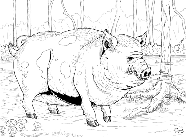 Jake LaGory- illustrator