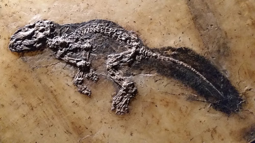 Kumtuks Tahlkie: 2015