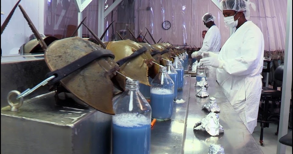 Top 10 Most Expensive Liquids In The World