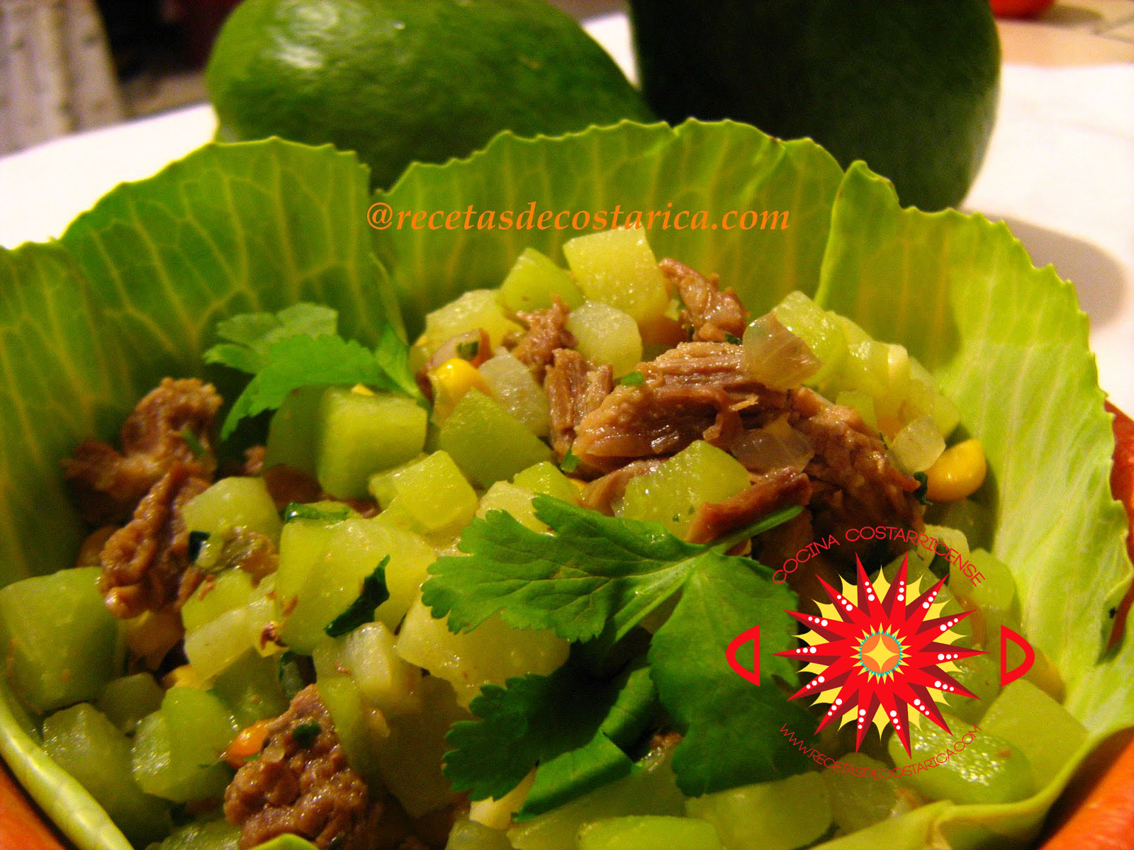Cocina Costarricense: picadillo de chayote y maíz