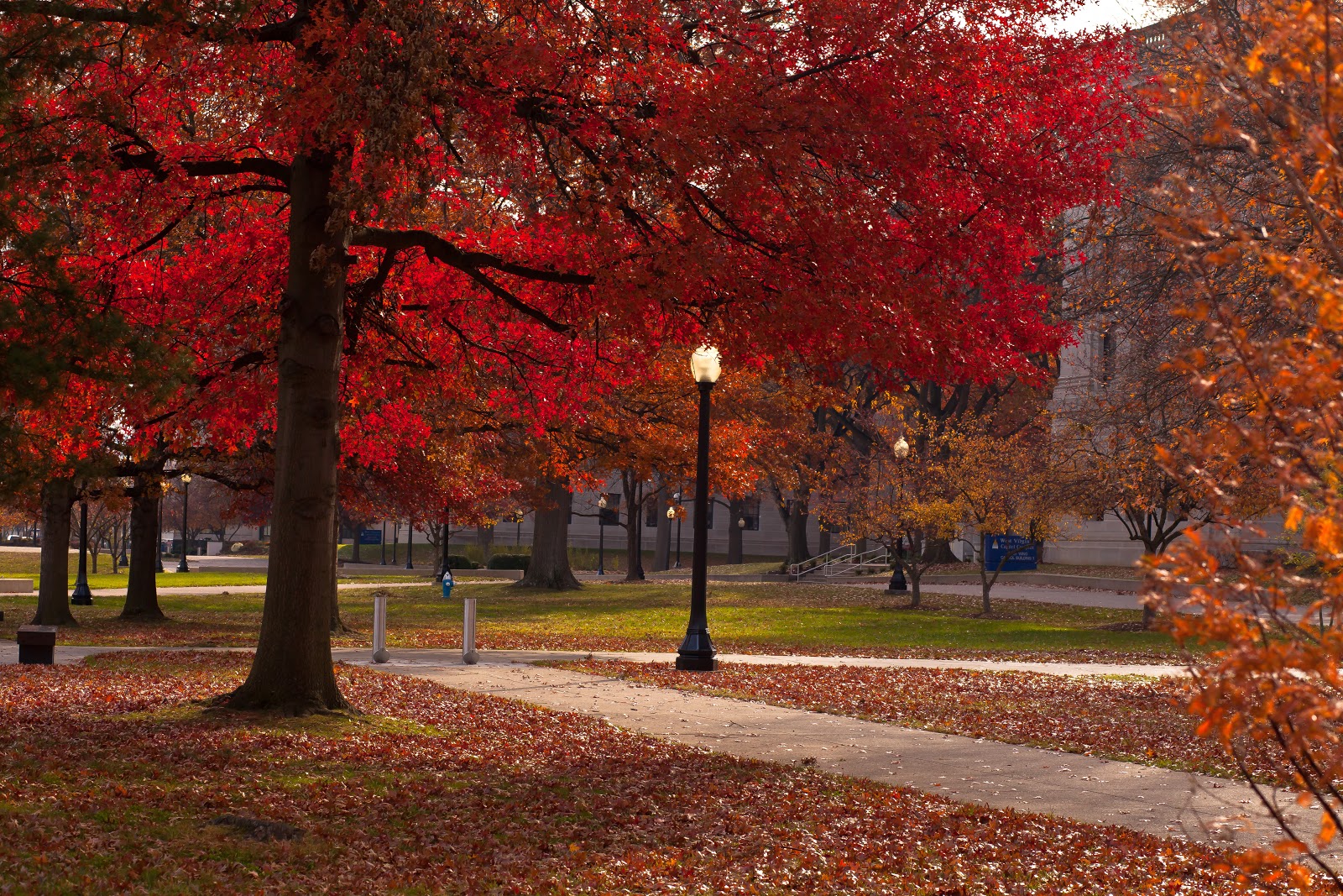 Lincoln's Domain: State Capitol Lawn