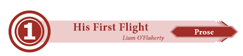 10TH ENG UNIT-1 PROSE HIS FIRST FLIGHT 2 MARKS QUES AND ANS