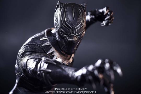 Calvin's Canadian Cave of Coolness: T'Challa Action Figure Photography