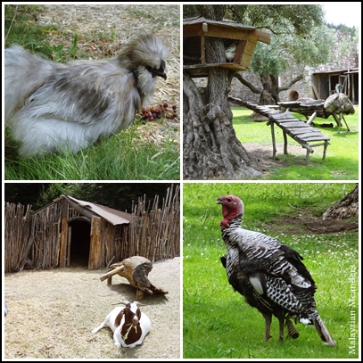 Malaysian Meanders: Castello di Amorosa: Medieval Castle in Napa Valley