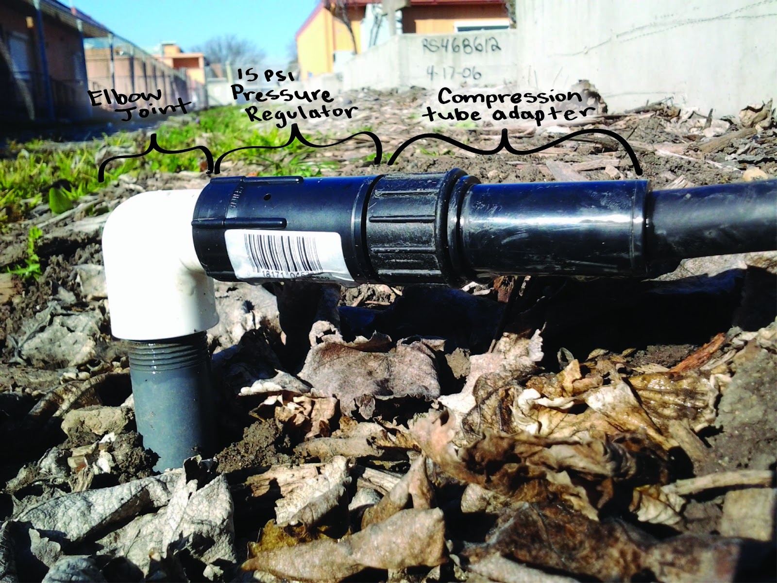 Edible Landscape Solutions