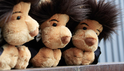 Minomi'nin Dünyası: Minomi Kimdir?