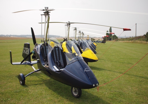 Tinworm-wings: An SSDR Flying Flea?