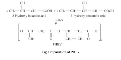 Biodegradable Polymers: Definition, Examples, Properties and Applications