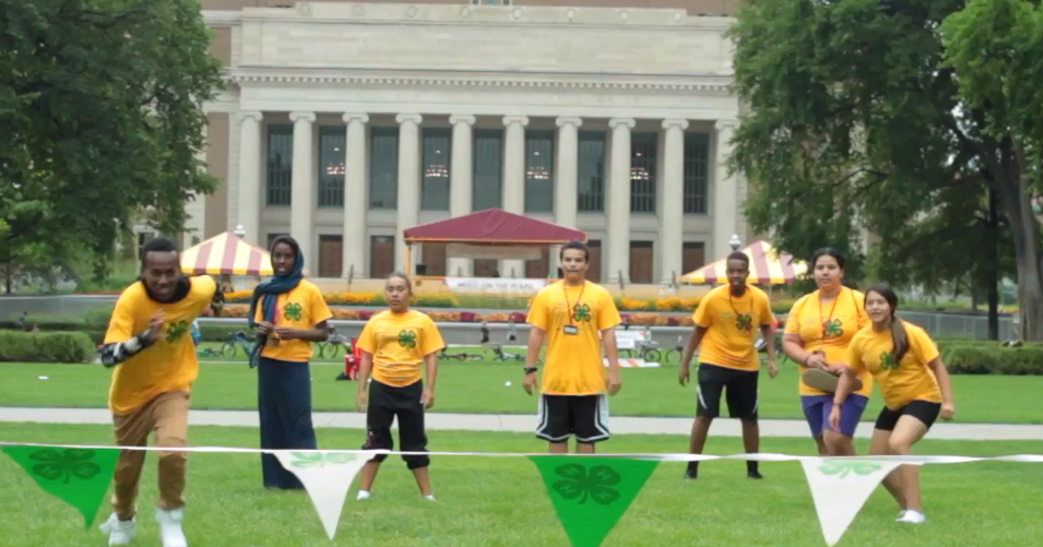 Youth Development Insight