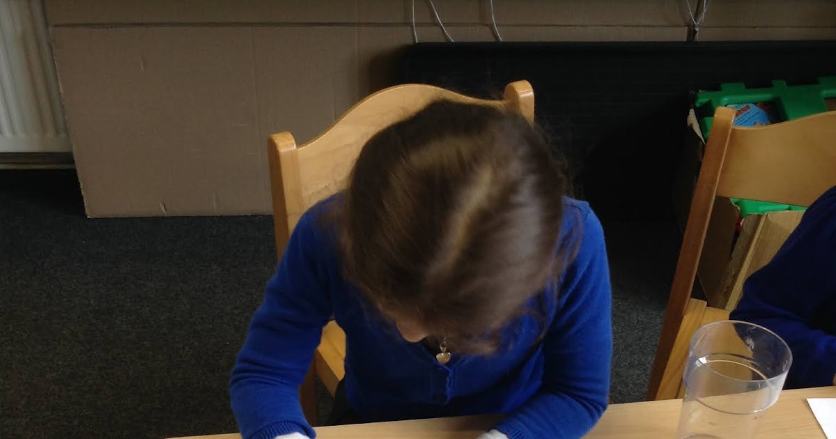 Bannockburn Primary: Reception - Self-portraits in Pear Class