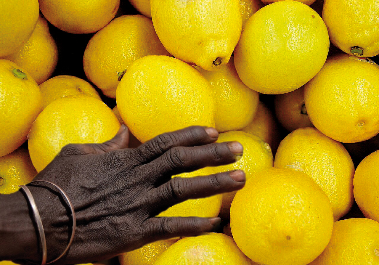 pic of the day: Lemons - Citrons- Zitronen - лимо́н - Limones ...