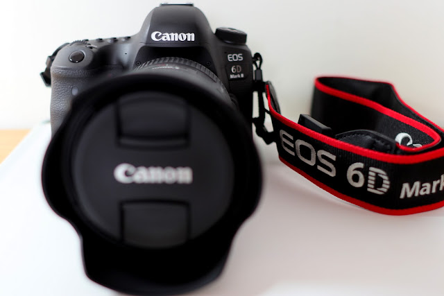 【開箱】Canon EOS 6D Mark II + EF 24-105mm f/4L IS II USM Kit ．規格介紹．使用心得及試拍照 - 匡大不誇大部落格