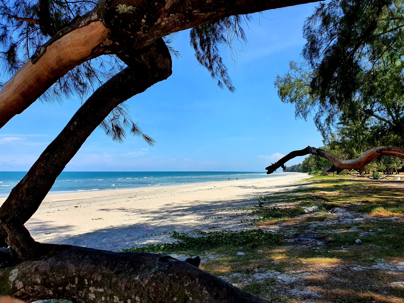 Terminal Jeti & Pantai Tanjung Leman Mersing, Destinasi Yang Mesti ...