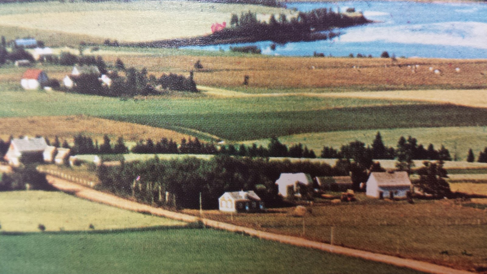 P.E.I. Heritage Buildings: Springbrook Aerial