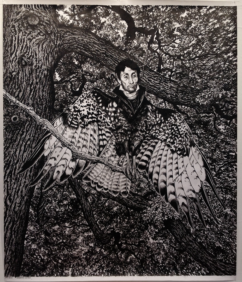 Kingdom Poets (a blog by D.S. Martin): Sweeney Astray