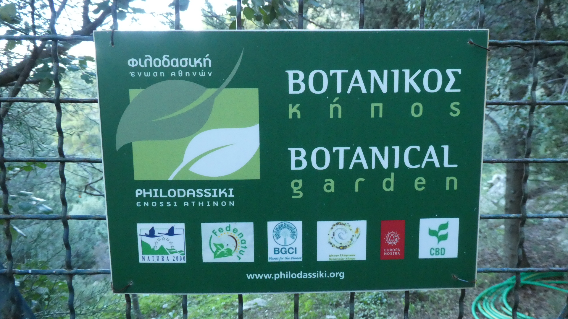 ΑΙΣΘΗΤΙΚΟ ΔΑΣΟΣ ΚΑΙΣΑΡΙΑΝΗΣ