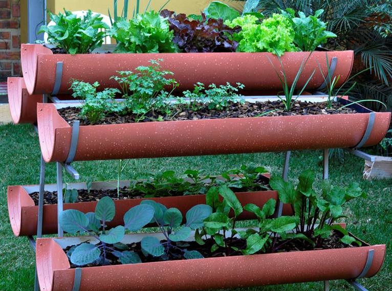 Como montar uma mini horta?