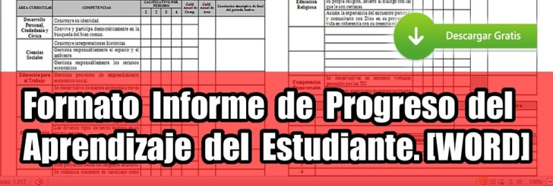 Informe de Progreso (3° grado Primaria) con Conclusiones Descriptivas ...