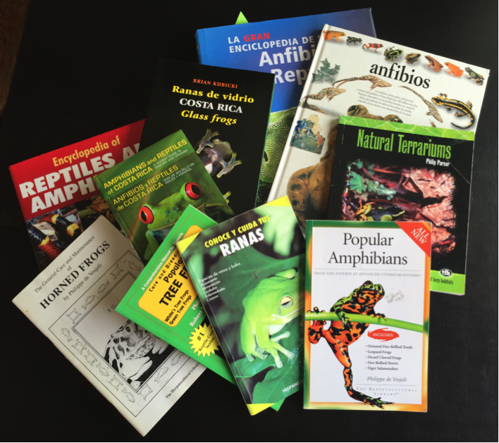 La Lupa: El pequeño acervo literario: la biblioteca en casa