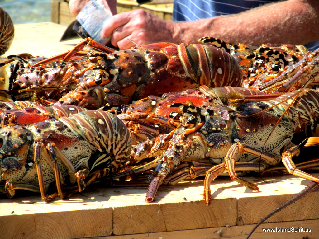 Eleuthera is Wonderful - svIslandSpirit.com