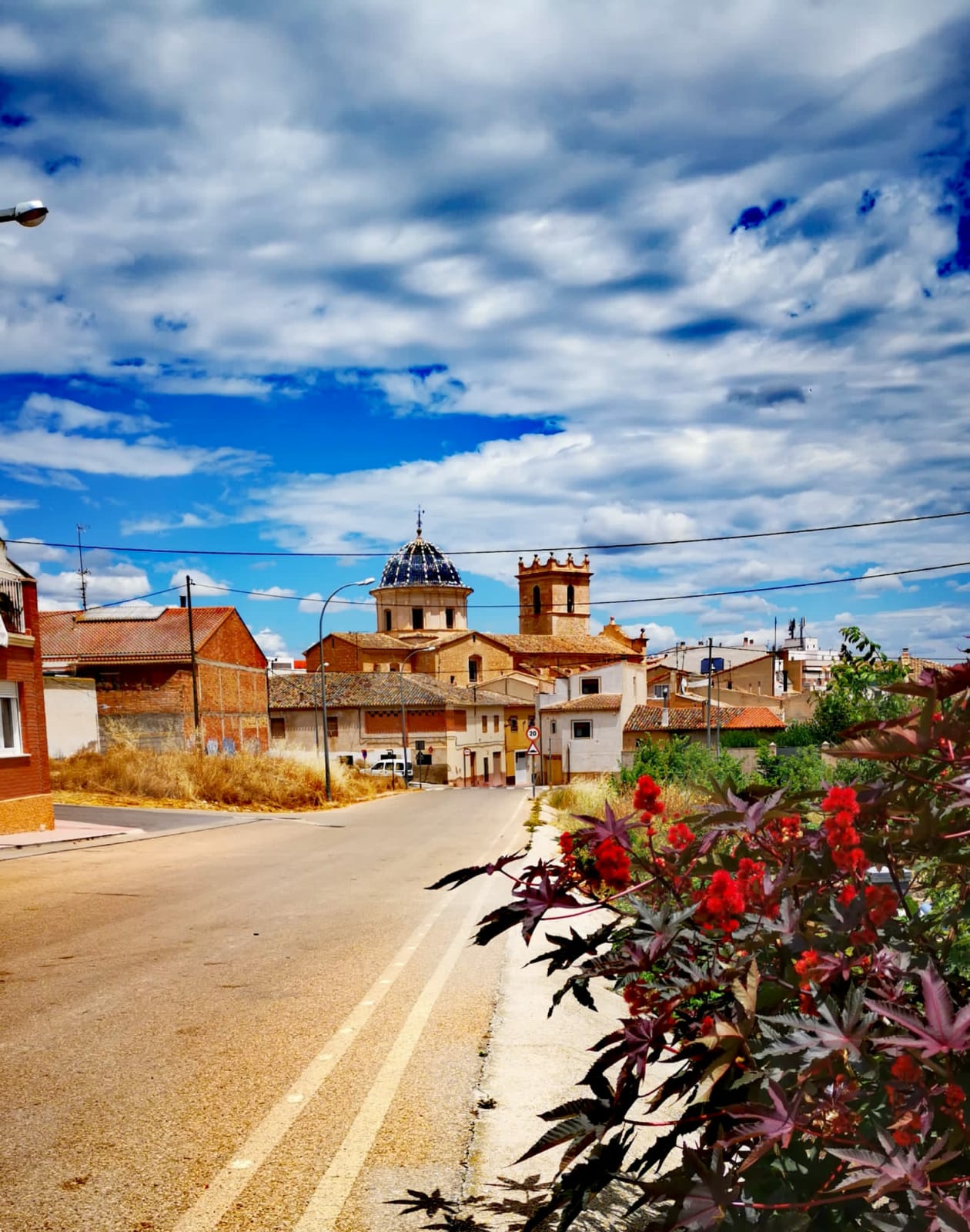 AMIGOS DE LA HISTORIA CAUDETANA: Caudete desde El Real