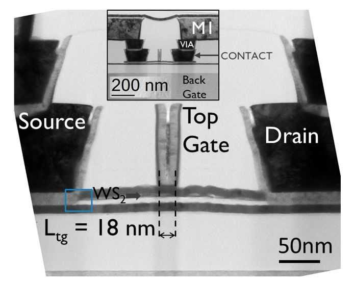 BALD Engineering - Born in Finland, Born to ALD: Imec introduces 2D ...