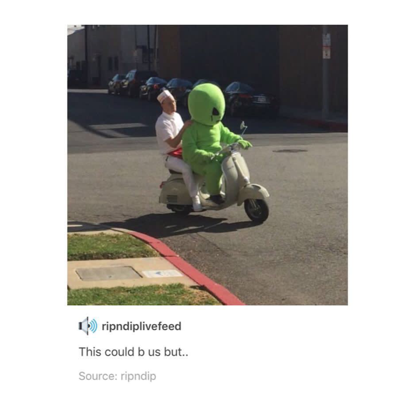 Random Pics and Memes to Improve Your Mood (39 Pics) | 9GIG