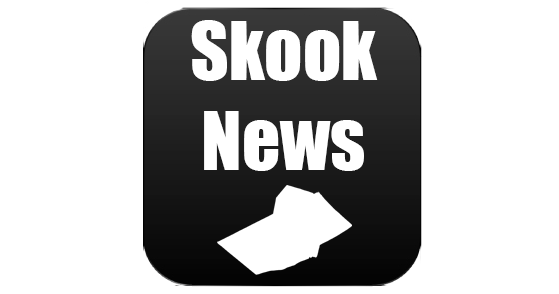 Skook News is Developing a Mobile App!